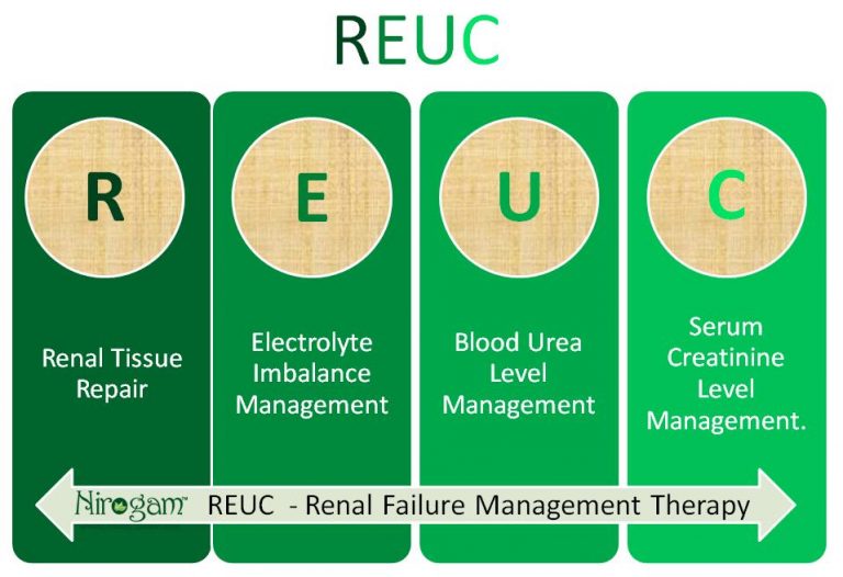 kidney-treatment – Om Pharma Ayur