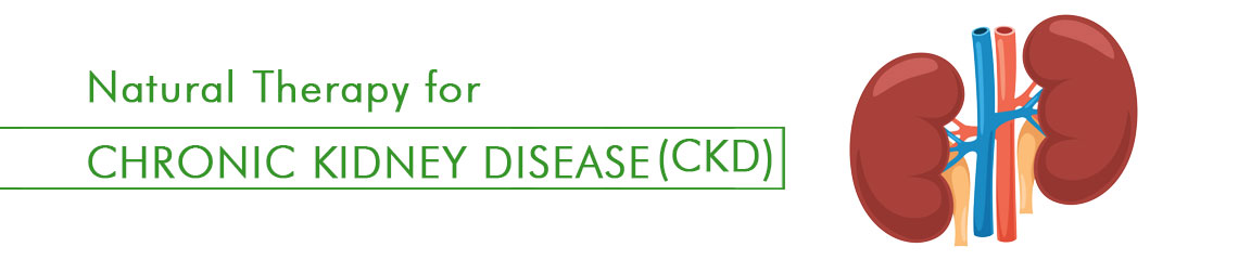 natural-therapy-for-ckd-inner2 – Om Pharma Ayur